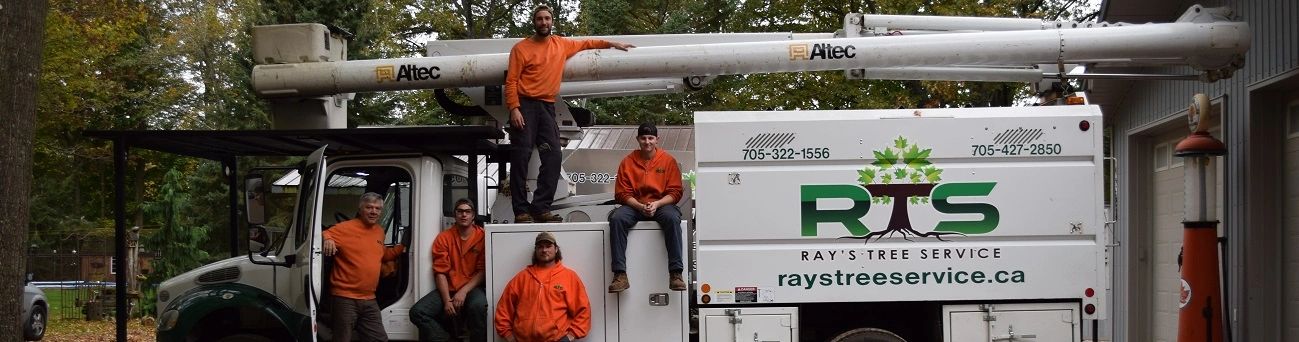 Tree Service - Ray's Tree Service